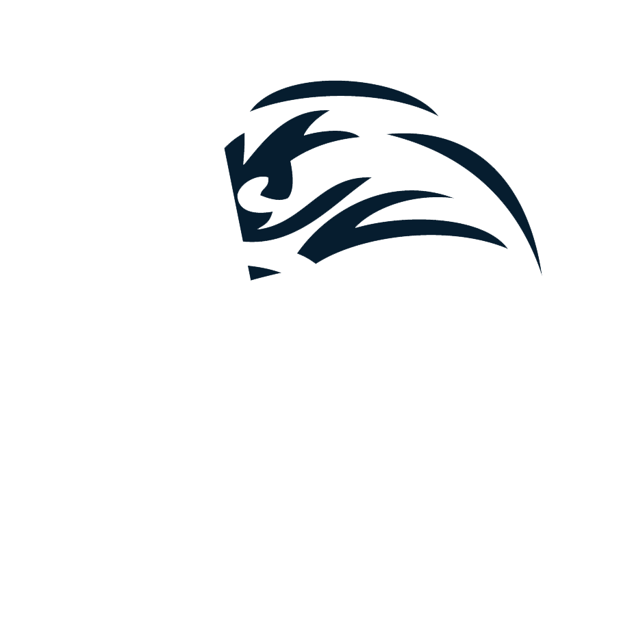 Navy SEAL Foundation - Honoring Our Warriors and Supporting Their ...