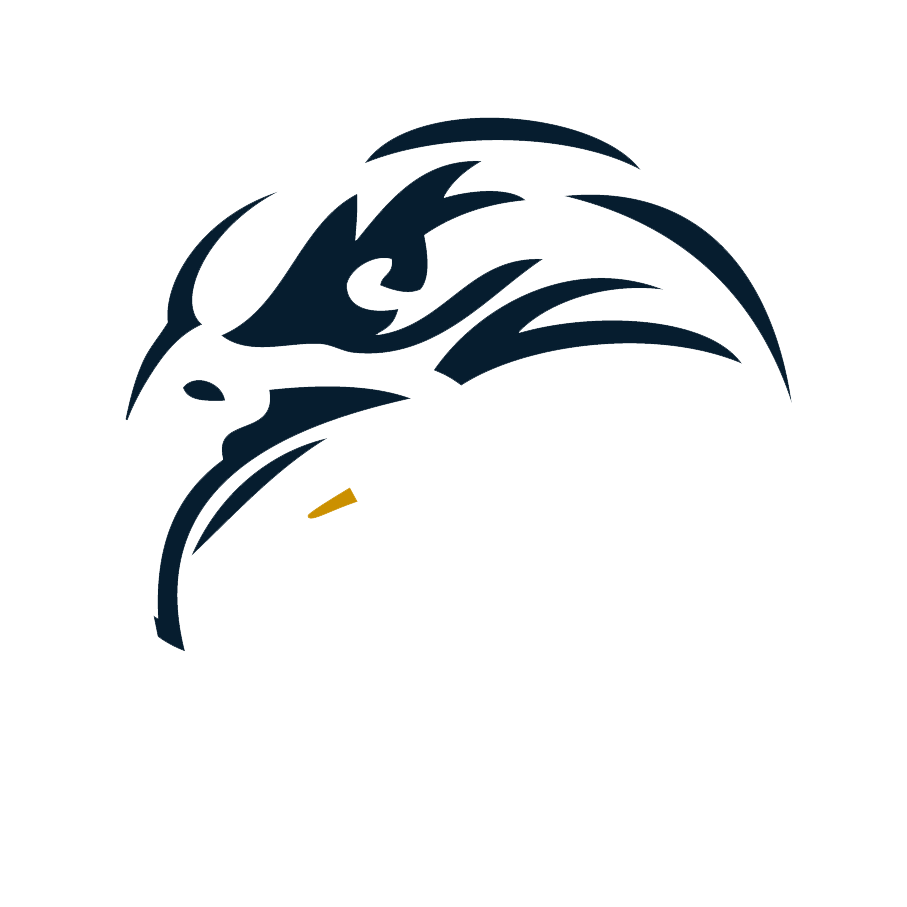 Navy SEAL Foundation - Honoring Our Warriors and Supporting Their ...